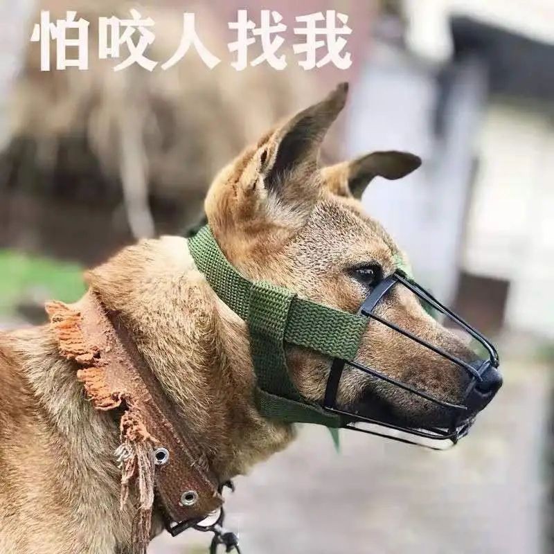 不锈钢狗嘴罩 狗嘴笼 防咬叫可饮水狗嘴套金属大中型犬金毛宠物用