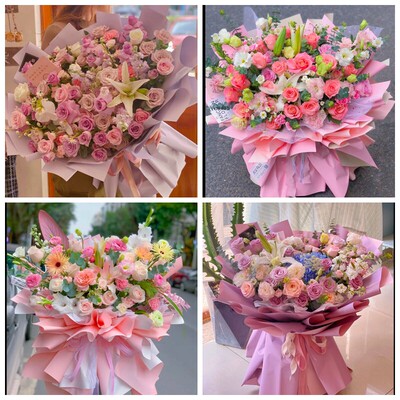 昭通绥江县镇雄县彝良县水富县同