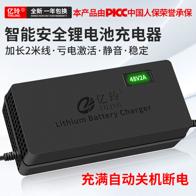 喜德盛电动车36V自行车锂电池充电器24V48V2A智能快充3A代驾车配
