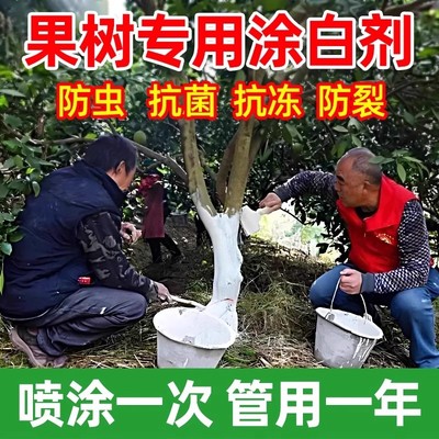 可喷涂防冻市政园林专用越冬果树