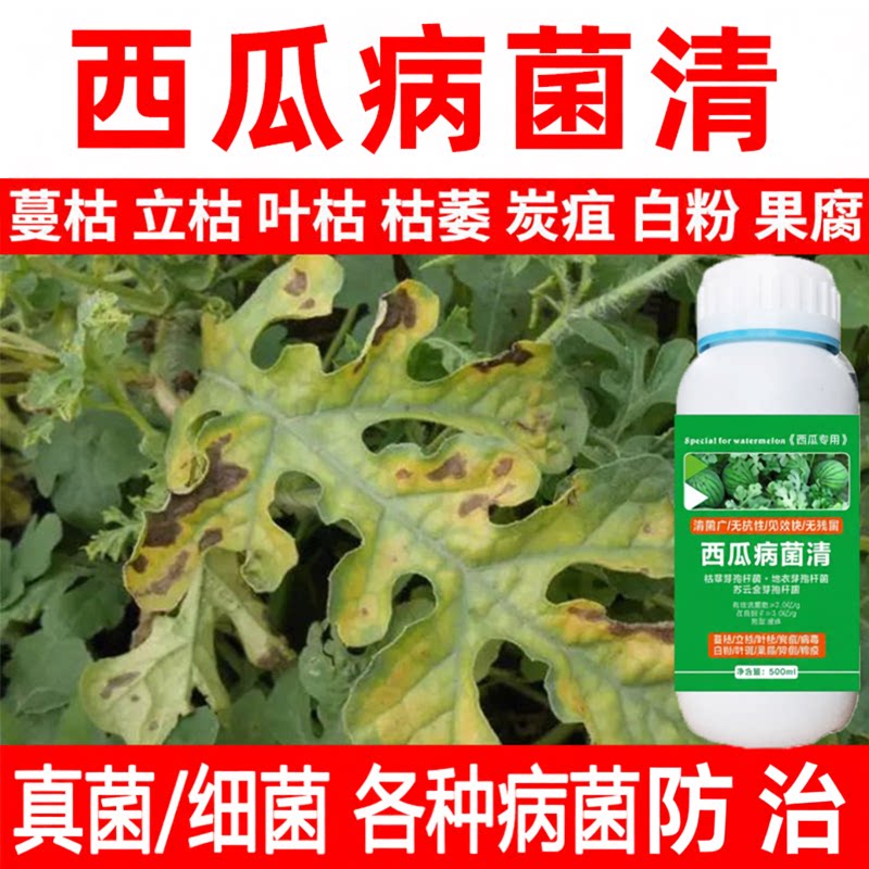 西瓜病菌清西瓜青枯病蔓枯病疫病炭疽病叶斑病黑斑病防治农药正品