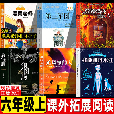 漂亮老师和坏小子杨红樱六年级上必读课外书第三军团张之路放慢脚步去长大章红狼图腾姜戎原著正版完整版追风筝的人我能跳过水洼