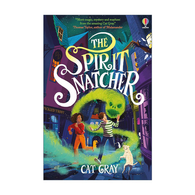 英文原版 The Spirit Snatcher 灵魂捕手 青少年奇幻神秘小说读物 英文版 进口英语原版书籍