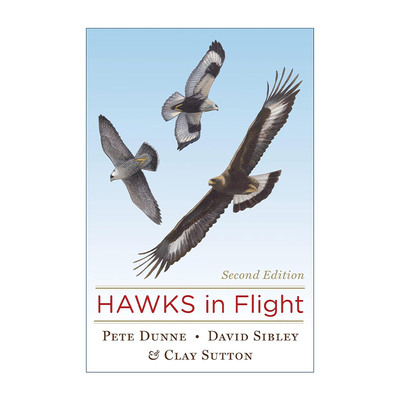 英文原版 Hawks in Flight 飞行中的鹰 第2版 精装 英文版 进口英语原版书籍