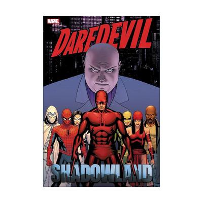 英文原版 Daredevil Shadowland Omnibus Cassaday Cover 超胆侠 夜魔侠 影域 暗影之地 精选集 新印版 精装经典收藏版 英文版