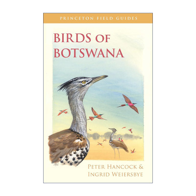 英文原版 Birds of Botswana 博茨瓦纳鸟类 普林斯顿野外指南 Peter Hancock 英文版 进口英语原版书籍