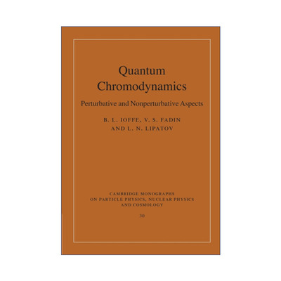 英文原版 Quantum Chromodynamics 量子色动力学 B. L. Ioffe 英文版 进口英语原版书籍