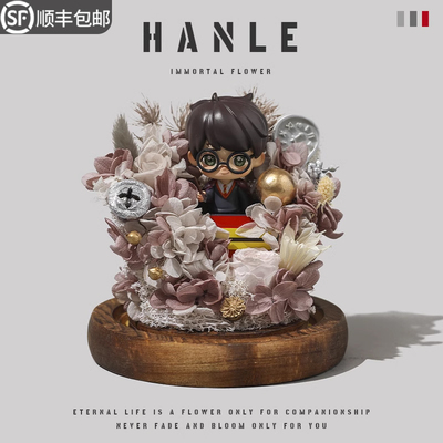 悍乐泡泡玛特哈利波特盲盒永生花