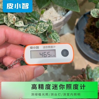 便携迷你绿植照度计高精度养花养草光照测试亮度灯光强度皮小智