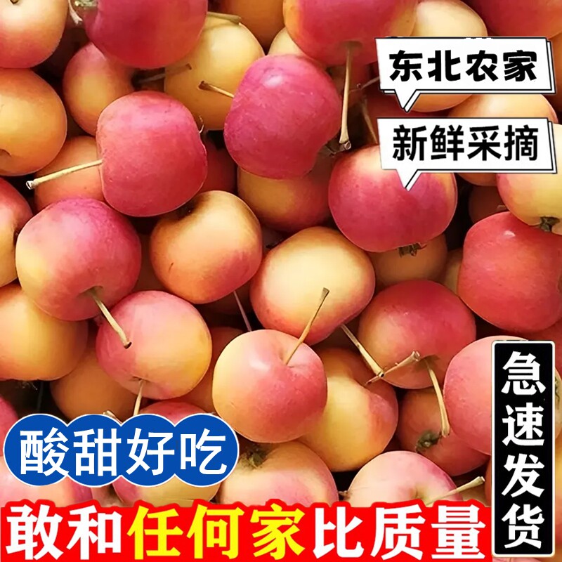 东北海棠果酸甜沙果孕妇现摘小苹果特产应季新鲜黄太平水果包邮