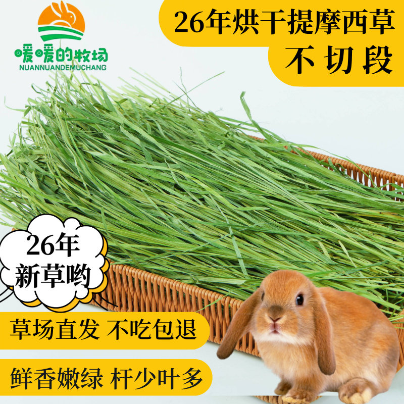 整草26年头茬烘干提摩西草岷县北提兔草兔兔干草龙猫荷兰猪牧草