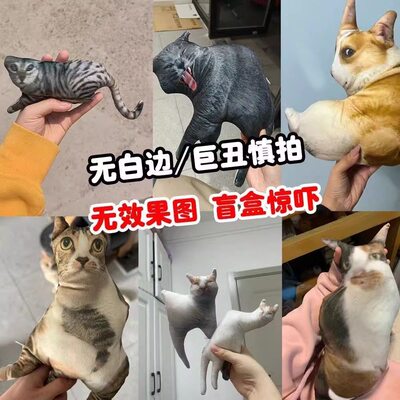 XIXI口 无白边老鼠干玩偶diy人形抱枕真人定制小人偶猫咪狗狗宠物