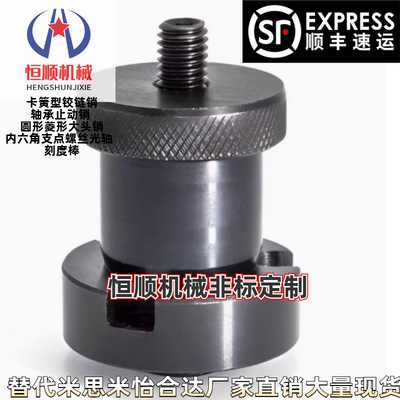 定位锁紧球锁轴BLL30-d13d16d20