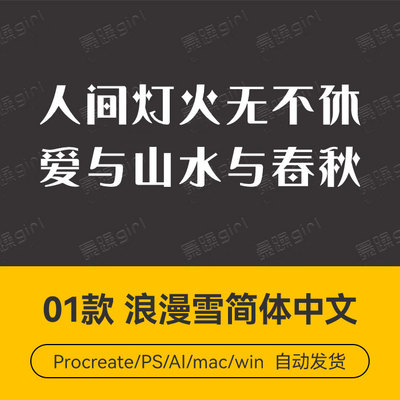 Procreate/Win/GoodNotes/Mac 浪漫雪简体中文字体安装包字体文件