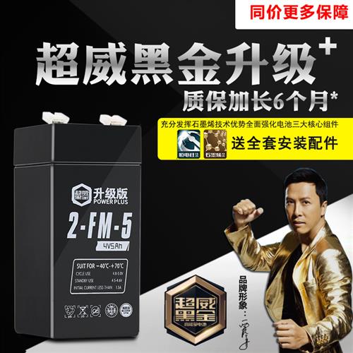 4v4ah电子秤通用款蓄电池专用充电器6V锂电瓶电子秤电池大全