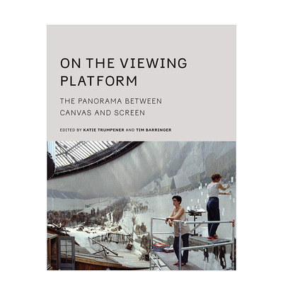 【预售】On the Viewing Platform 观景平台:画布和屏幕之间的全景 英文原版