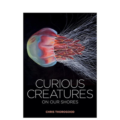 【现货】英文原版 海岸上的奇异生物 Curious Creatures on our Shores 社会科学图集 正版进口 善优图书