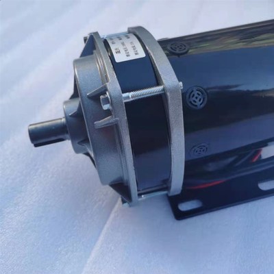 24V36V48V500W减速电机有刷永磁直流电动机定做喂料车发电机