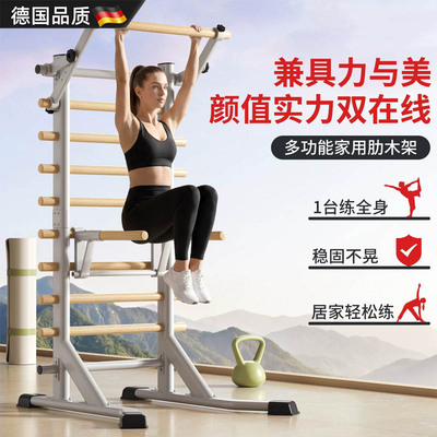 德国肋木架家用室内多功能单双杠