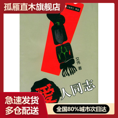【正版书】爱人同志 艾伟