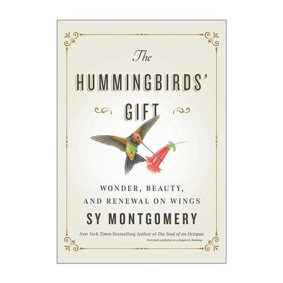 英文原版 The Hummingbirds' Gift 蜂鸟的礼物 翅膀上的奇迹 美丽和新生 精装 英文版 进口英语原版书籍