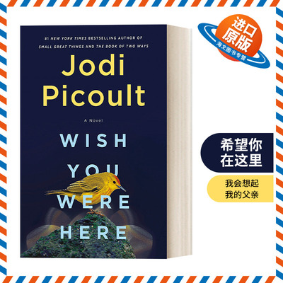 英文原版 Wish You Were Here 希望你在这里 当代女性小说 纽约时报畅销书 Jodi Picoult 英文版 进口英语原版书籍