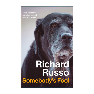 英文原版 Somebody's Fool 总有人是傻瓜 理查德?拉索新作 愚人三部曲 普利策小说奖获奖作家 英文版 进口英语原版书籍