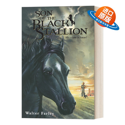 英文原版 Son of the Black Stallion 黑神驹系列 黑神驹之子 Walter Farley 青少年骑马动作冒险小说 英文版 进口英语原版书籍