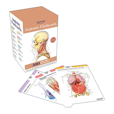 英文原版 Kaplan Anatomy Flash cards 卡普兰解剖学闪卡300张 第5版 英文版 进口英语原版书籍