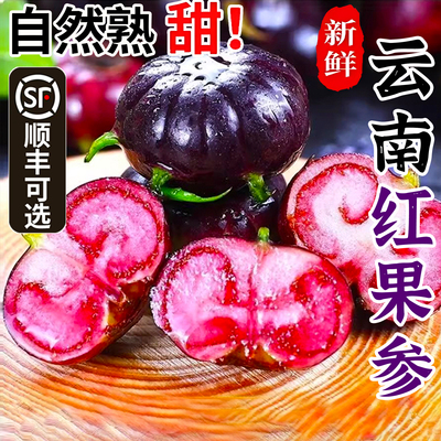 云南红果参高山稀少算盘果蜘蛛果