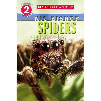 英文原版图书蜘蛛科普绘本