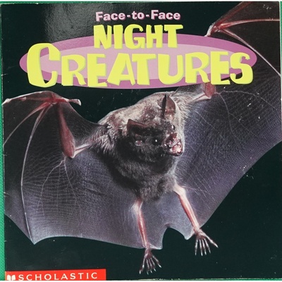 英文原版图书夜行动物科普绘本