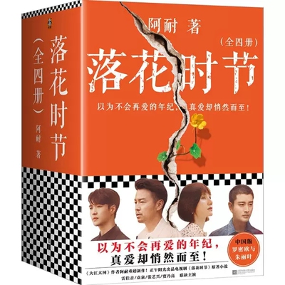正版 落花时节全4册 以为不会再爱的年纪真爱却悄然而至阿耐相逢时节电视剧原著小说正午雷佳音袁泉张艺兴贾乃亮现代文学