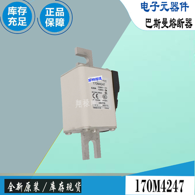 巴斯曼170M4245170M4246保险丝