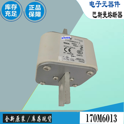 巴斯曼170M6011170M6012保险丝