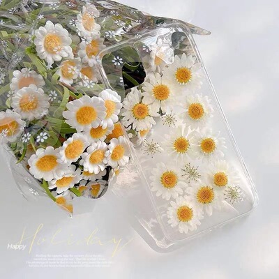 雏菊干花苹果15pro真花手机壳iPhone14/1312promax滴胶11XS软壳