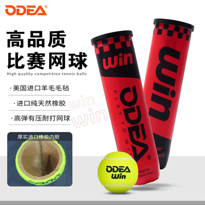 ODEA欧帝尔网球Win经济型比赛用网球4粒罐装成人高弹有压耐打网球