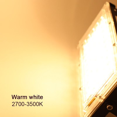 2pcs 50W Led Flood Light Outdoor Lighting 220V Floodlight Wa