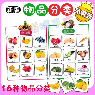 物品分类卡片认知发育幼儿园小中大班区域角活动材料益智教具玩具