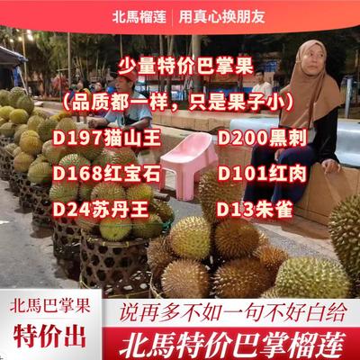 北马榴【树熟液氮】特价d197猫山王d200榴莲d168红宝石d13朱雀