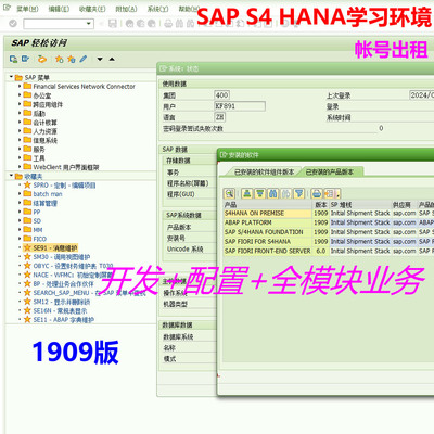 SAP S4H 1909版帐号出租永久有效开发配置全模块业务多种登录方式
