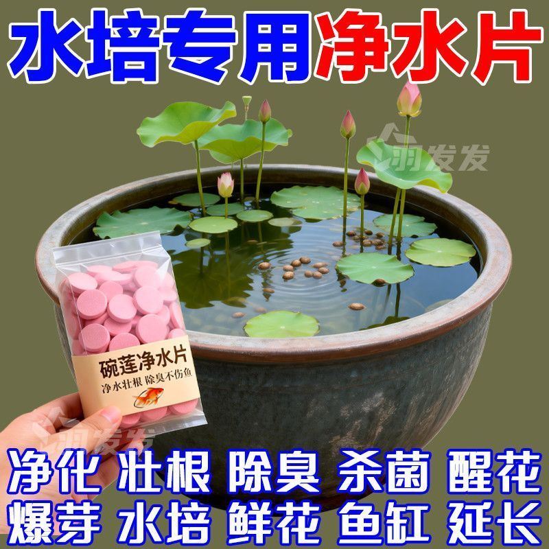 碗莲荷花净水片催芽睡莲开花黄叶叶面黑烂叶增肥果蔬花卉保鲜剂