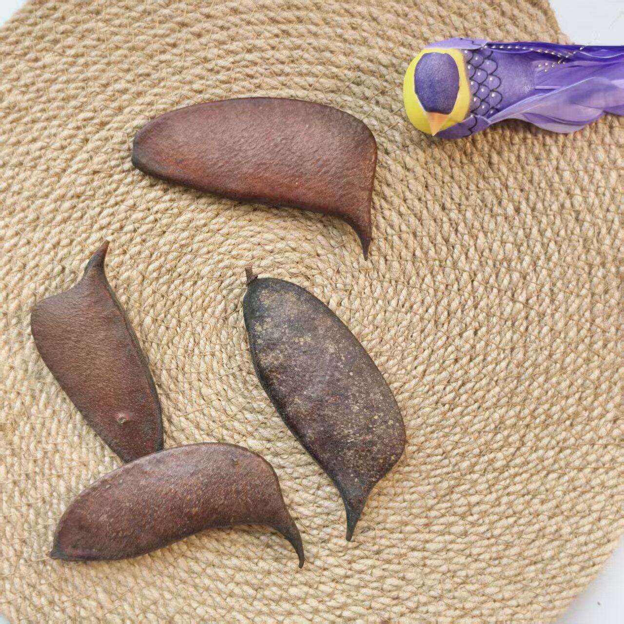 【各种果实类干花】圣诞果实类装饰品干花干果植物果实DIY橡果