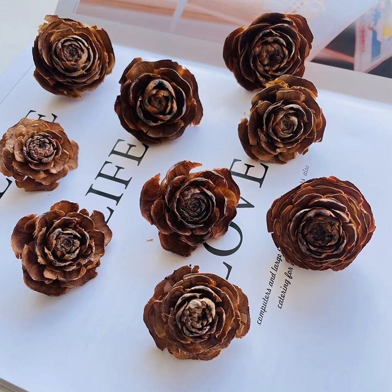 【木玫瑰干花】天然植物果壳花手工DIY插花素材松果标本画立体
