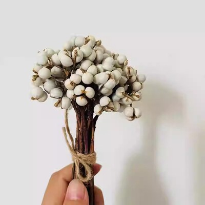小白果乌桕果薏米果干花室内装饰摄影道具DIY圣诞花环森系材料包