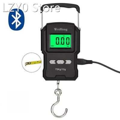 WeiHeng A27L 75kg/10g Electronic Hook Scale High Precisions
