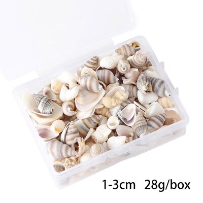 Mix Style Natural Shell 1-3cm 1 BOX Natural Conch Shells Min