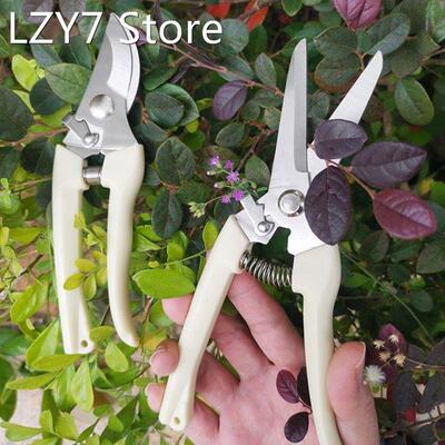 Pruner Orchard And The Garden Hand Tools Bonsai For Scissors