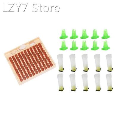 Bee Queen Rearing kit Bee queen cage Cell Cup Box kit Beekee