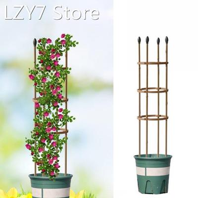 Climbing Pergola Metal Garden Plant Climbing Trellis Cage Ga